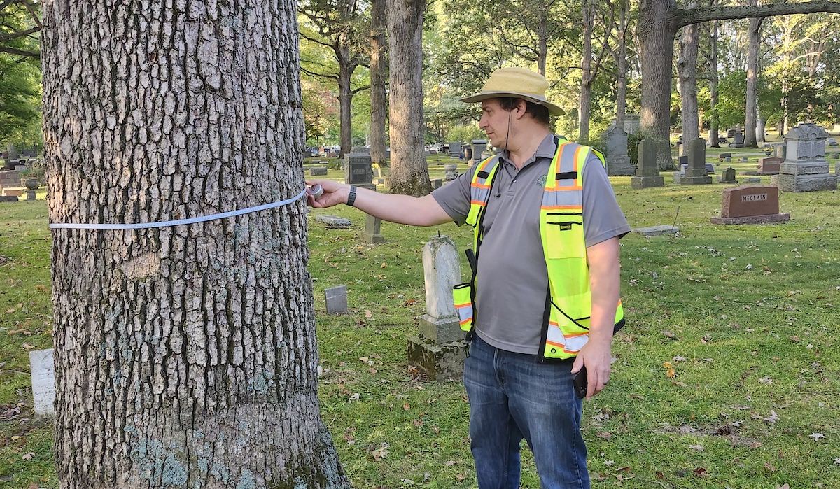 City of Morenci working on 20-year plan for trees - The Morenci Advocate